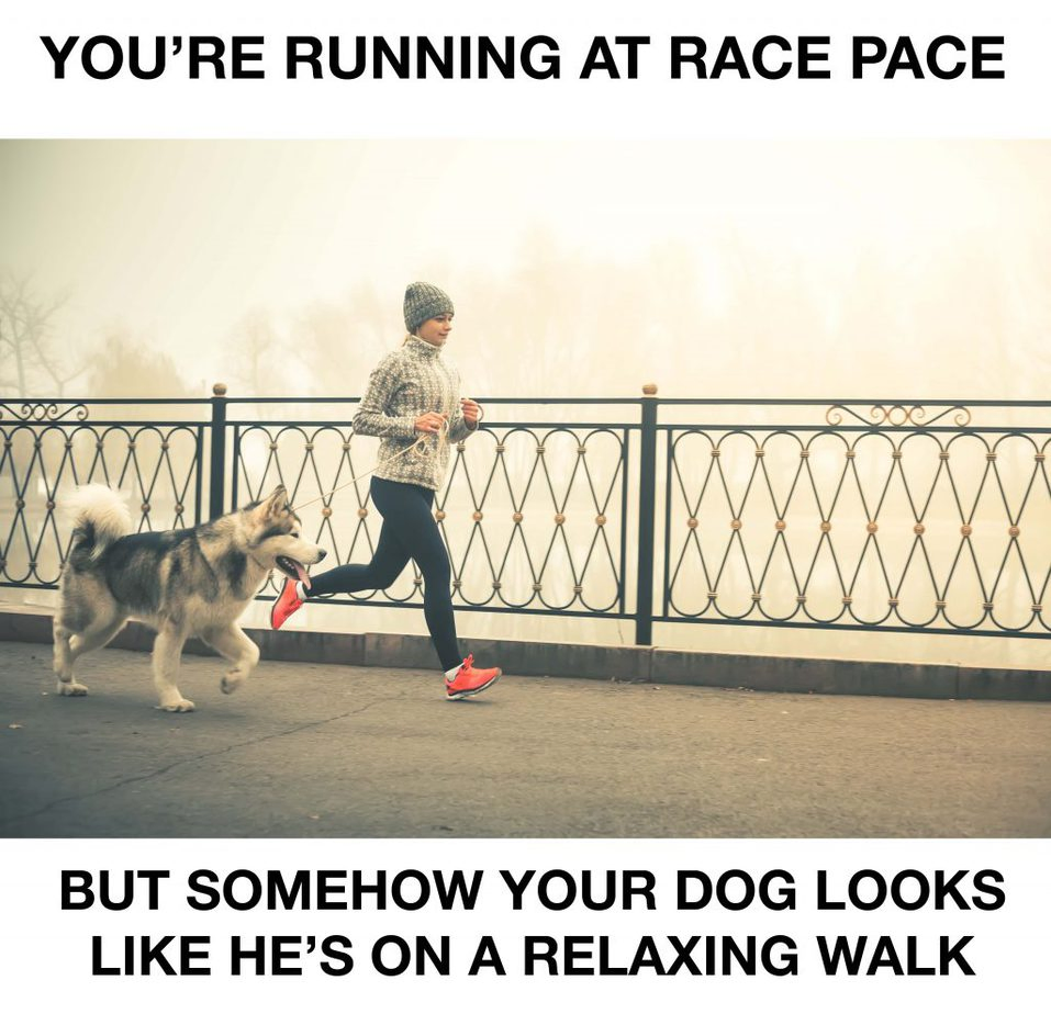 30 Funniest Running Memes - Runners Will Find Hillarious!