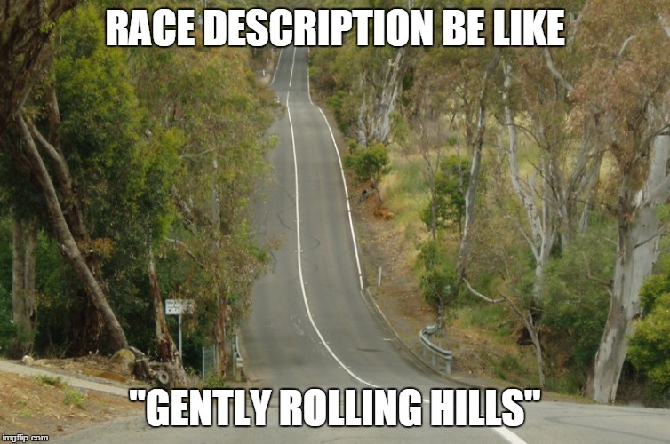 30 Funniest Running Memes - Runners Will Find Hillarious!